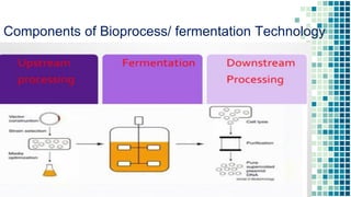 bio process tech III 2022. fermentation types | PDF