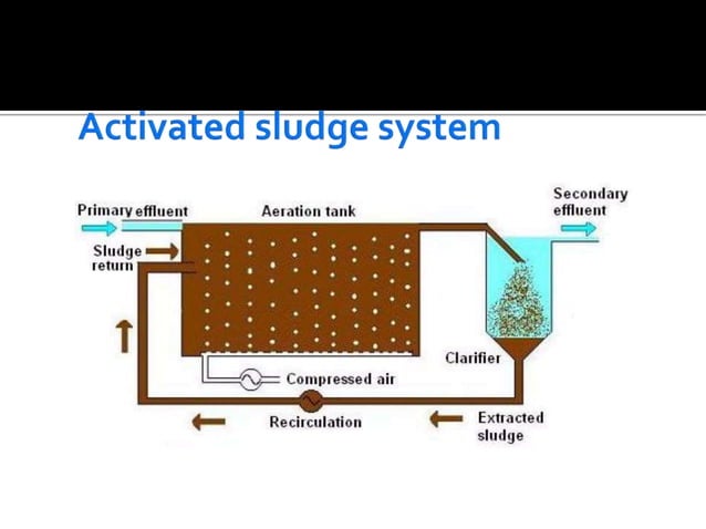 Bioprocess technology,, | PPT