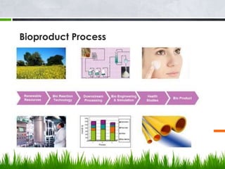 Bioproduct and economy | PPTX