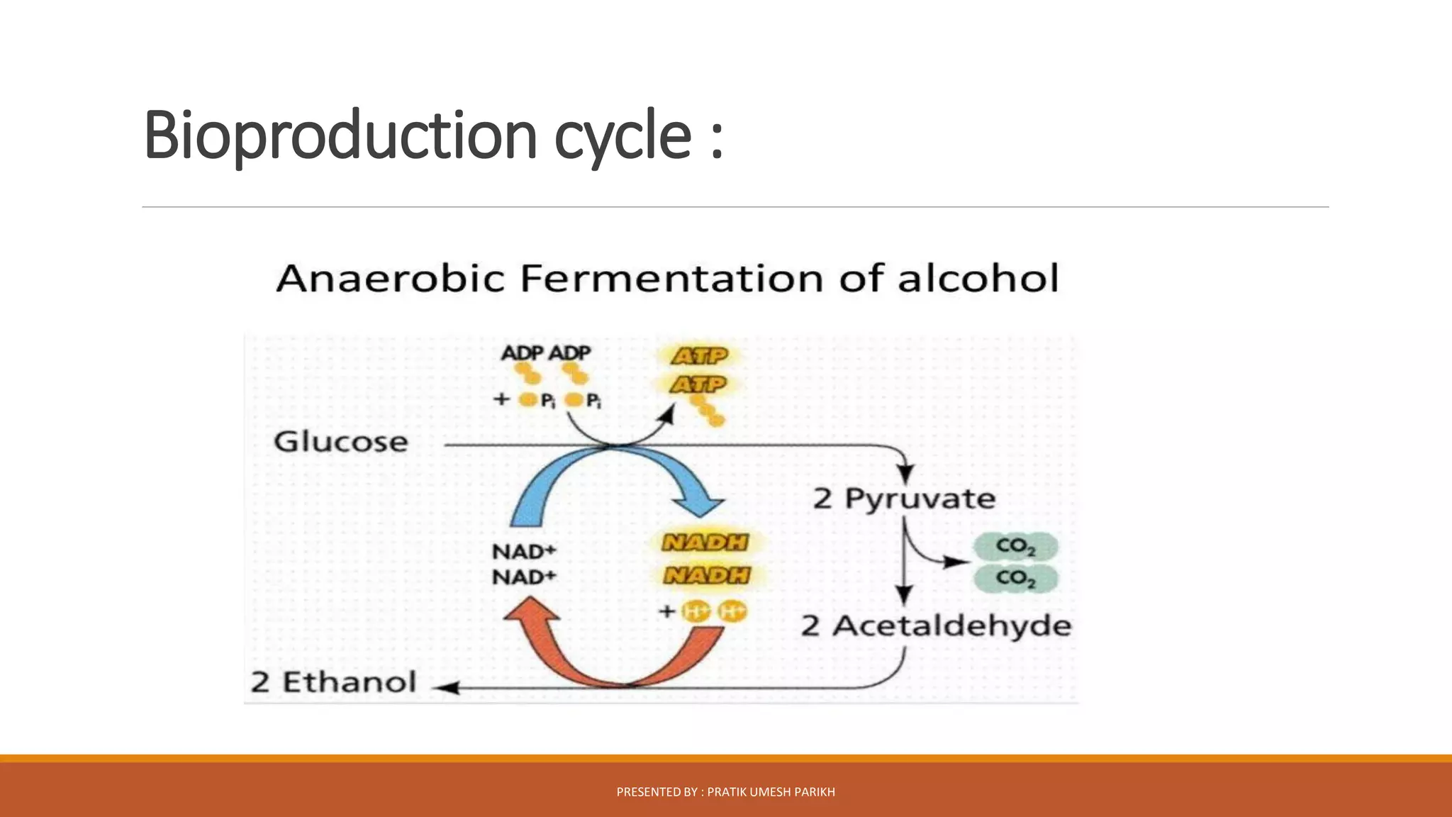 Bioproduction of Alcohol | PDF