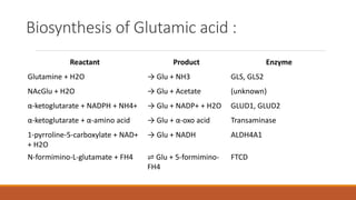 Bioproduction of Glutamic Acid | PDF