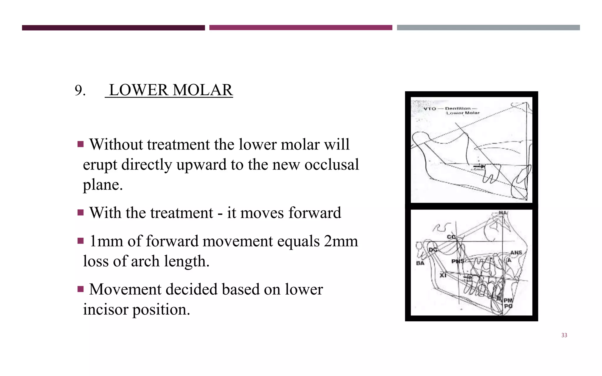 Bio progressive therapy | PPTX