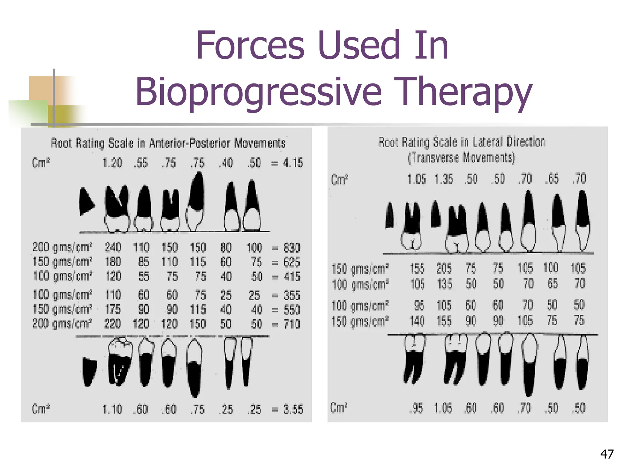 Bioprogressive Therapy in orthodontics by Ricketts | PPT