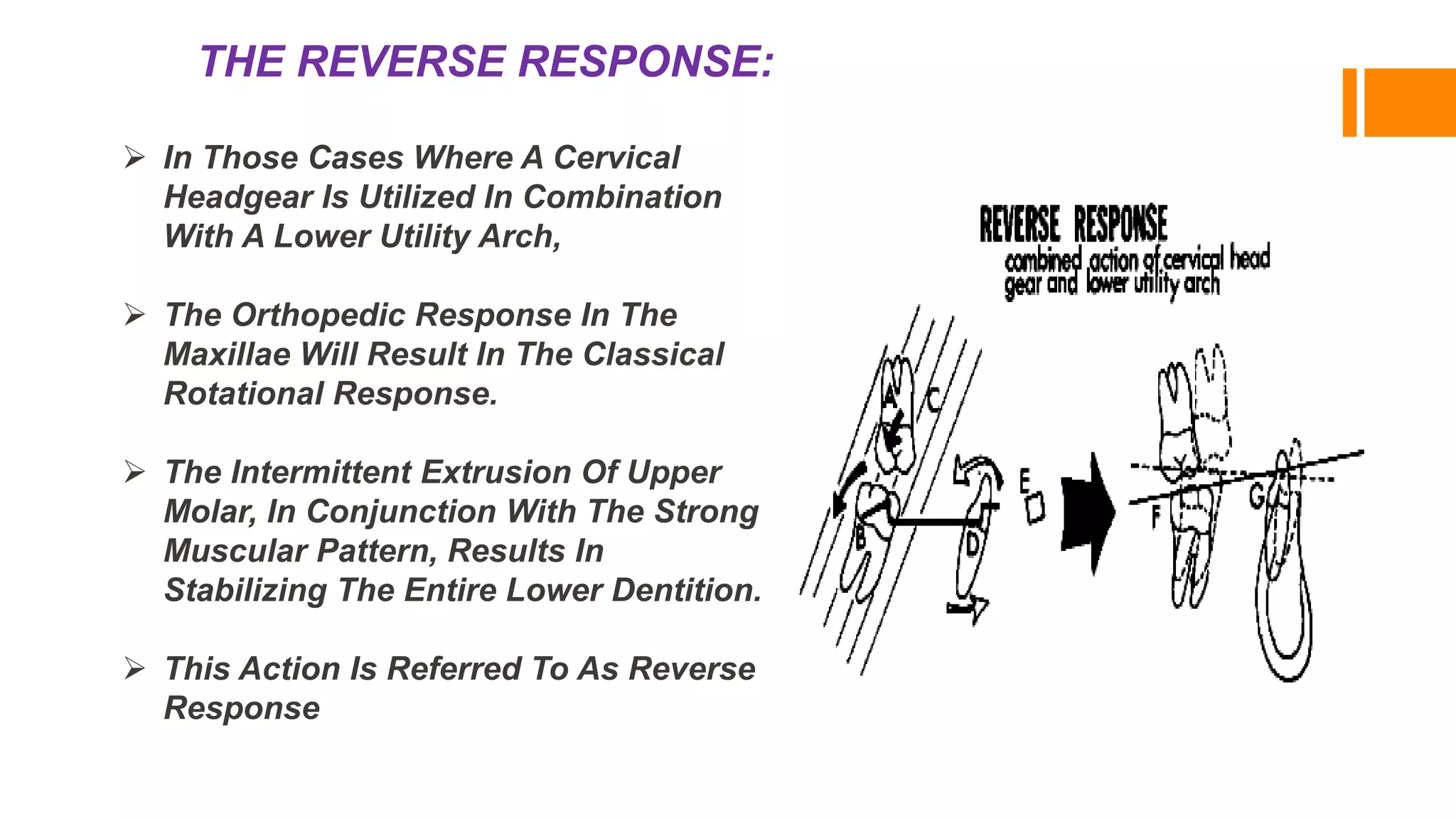 Bioprogressive therapy , dental , ricketts , medical , journal , bpt ...