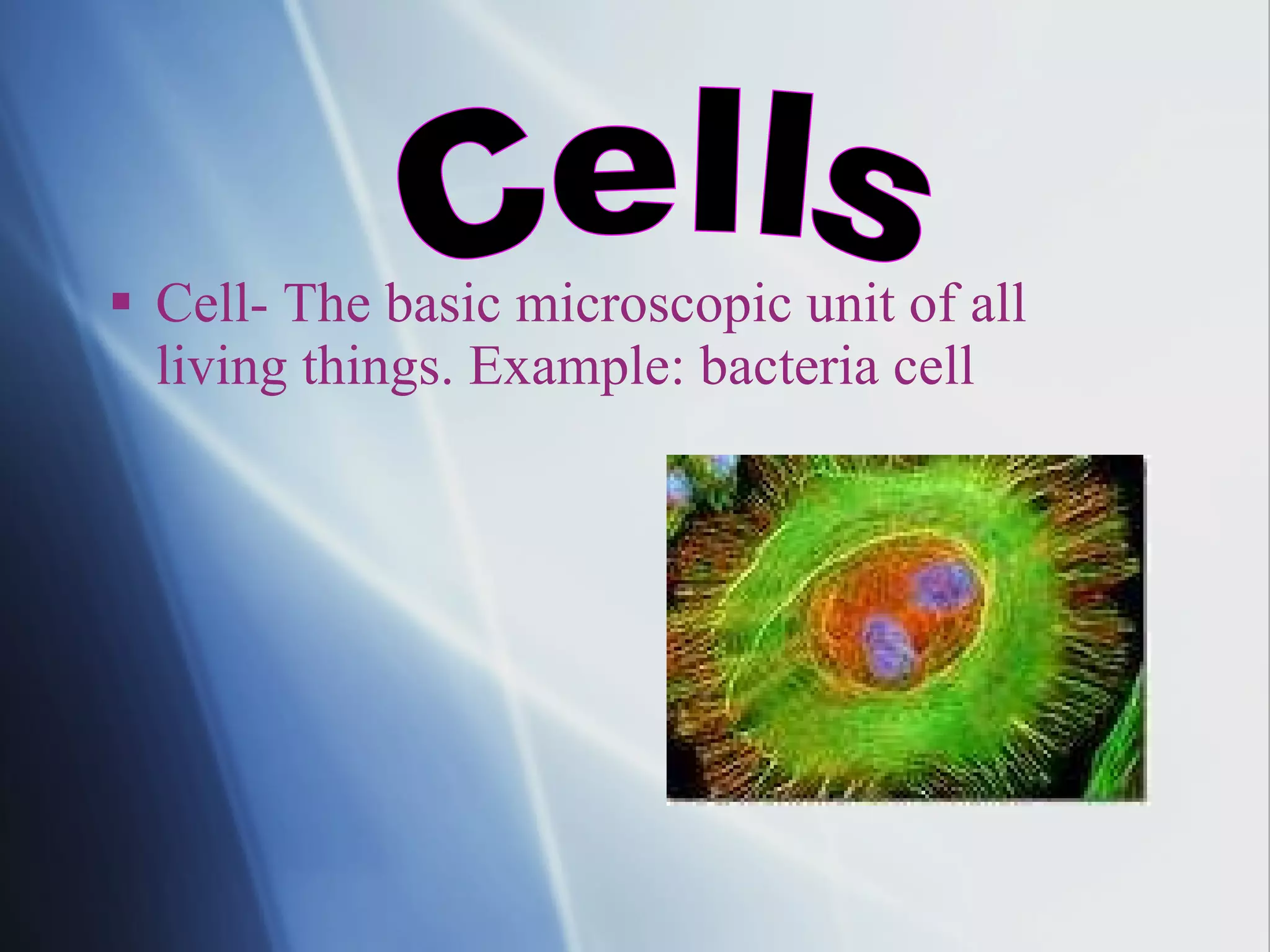 Biology project | PPT