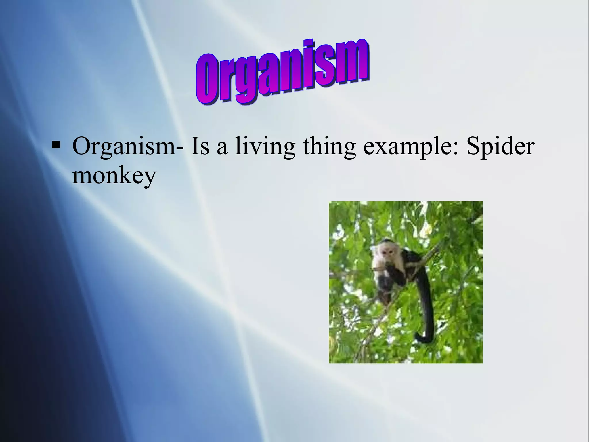 Biology project | PPT