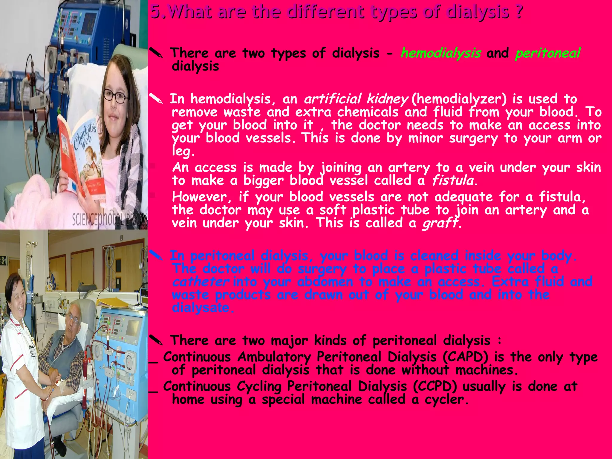 Bio project!!! | PPT