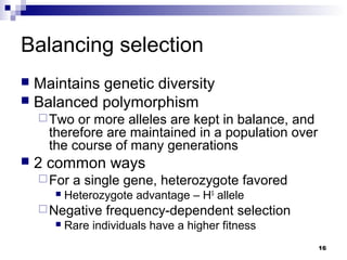 Chp. 24.2 Lecture Slides | PPT