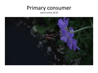 Biology project | PPTX