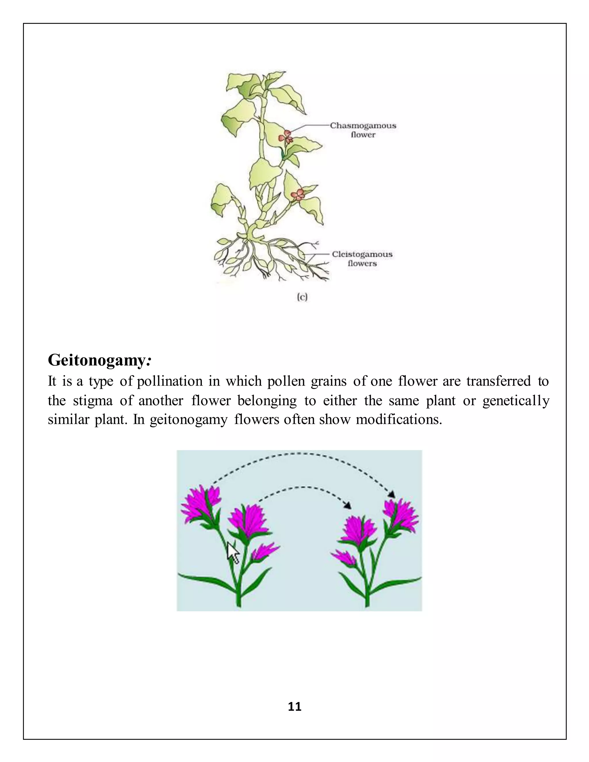 POLLINATION :Biology Investigatory project | DOCX
