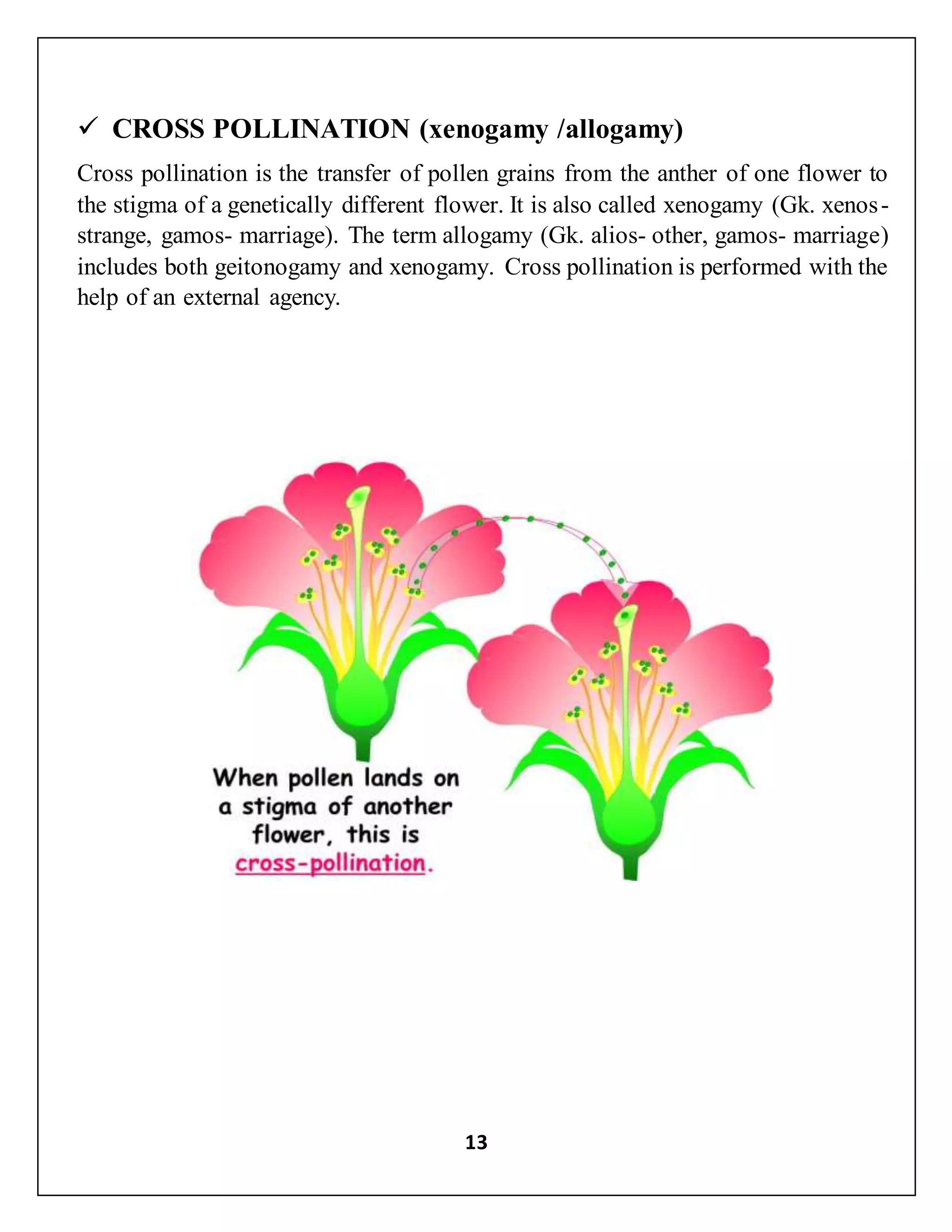 POLLINATION :Biology Investigatory project | DOCX