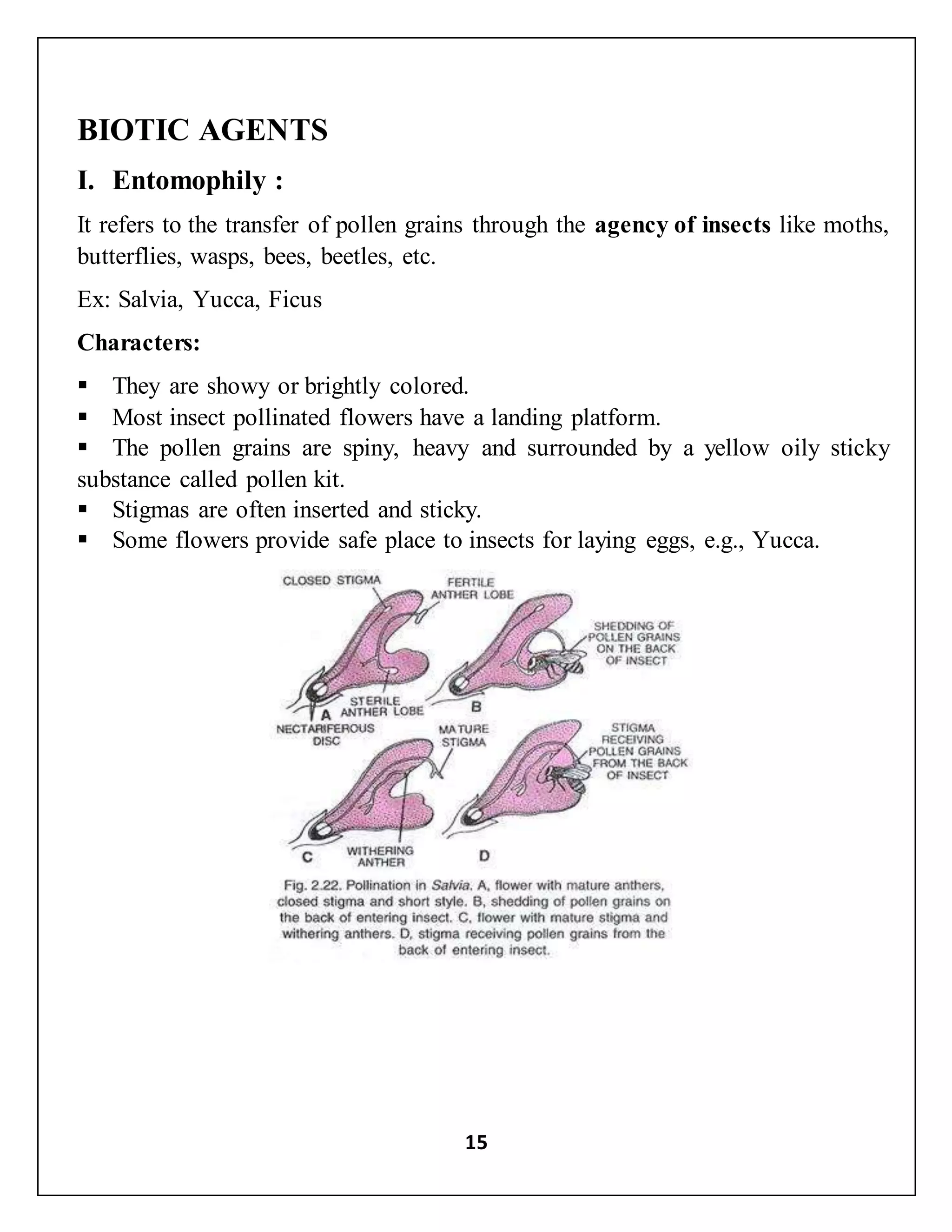 POLLINATION :Biology Investigatory project | DOCX