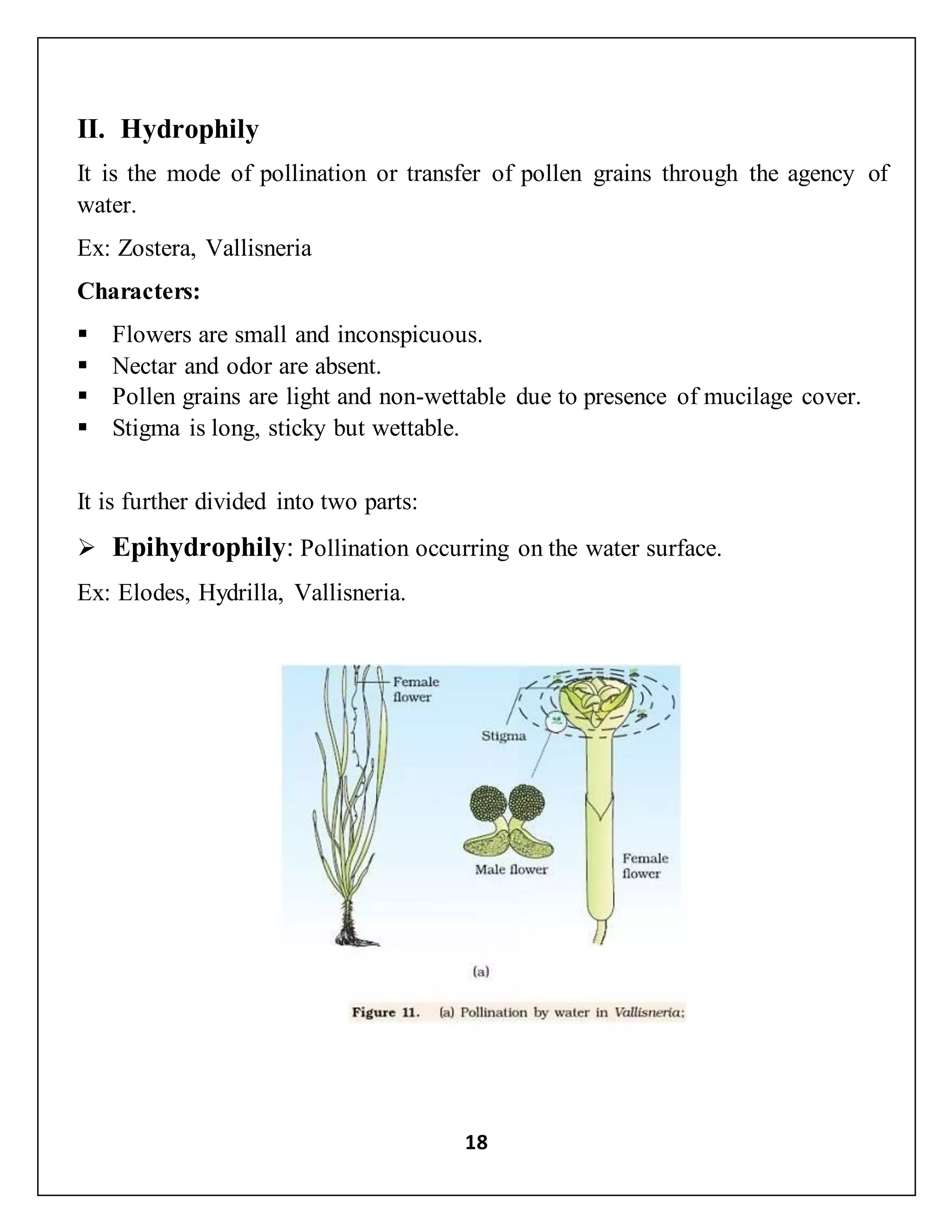 POLLINATION :Biology Investigatory project | DOCX