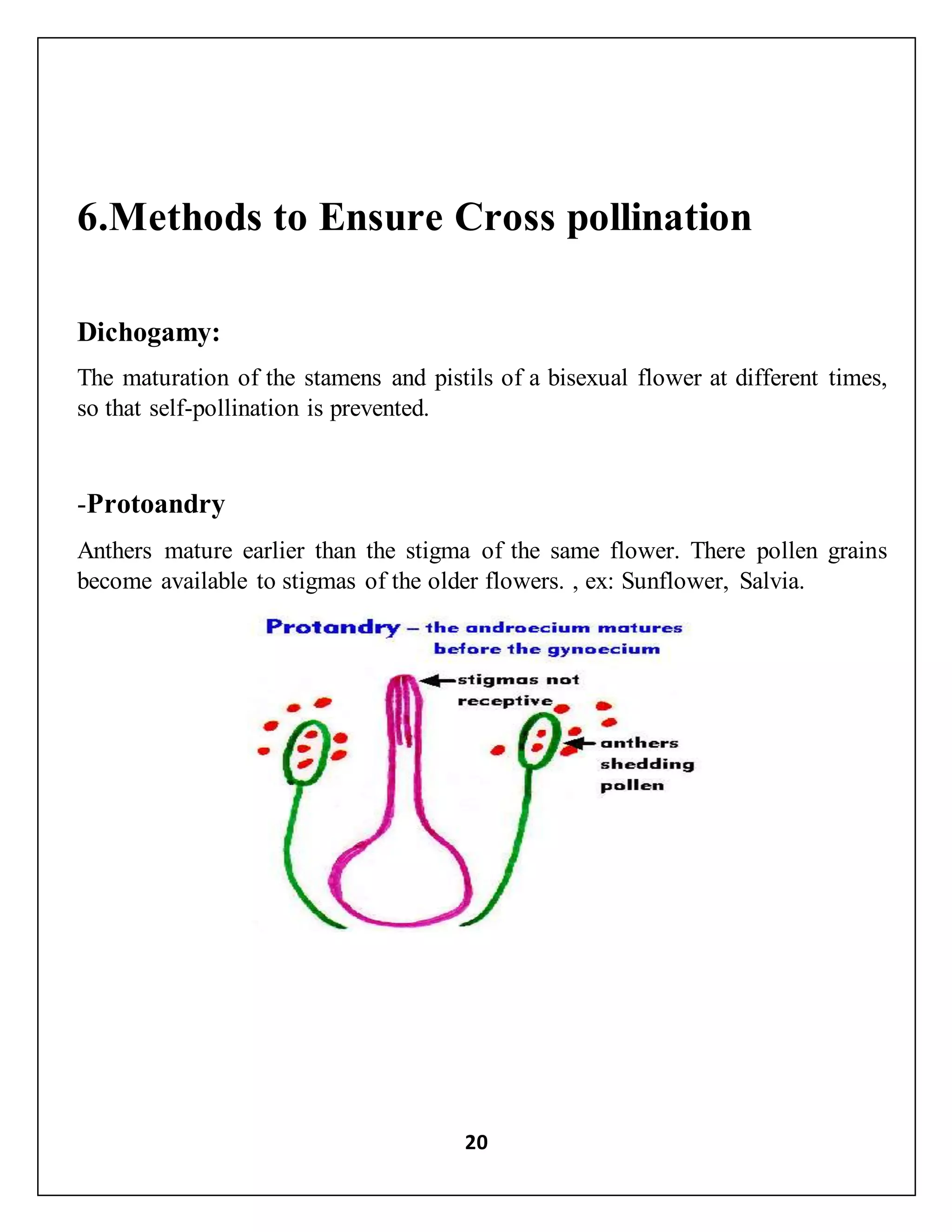 POLLINATION :Biology Investigatory project | DOCX