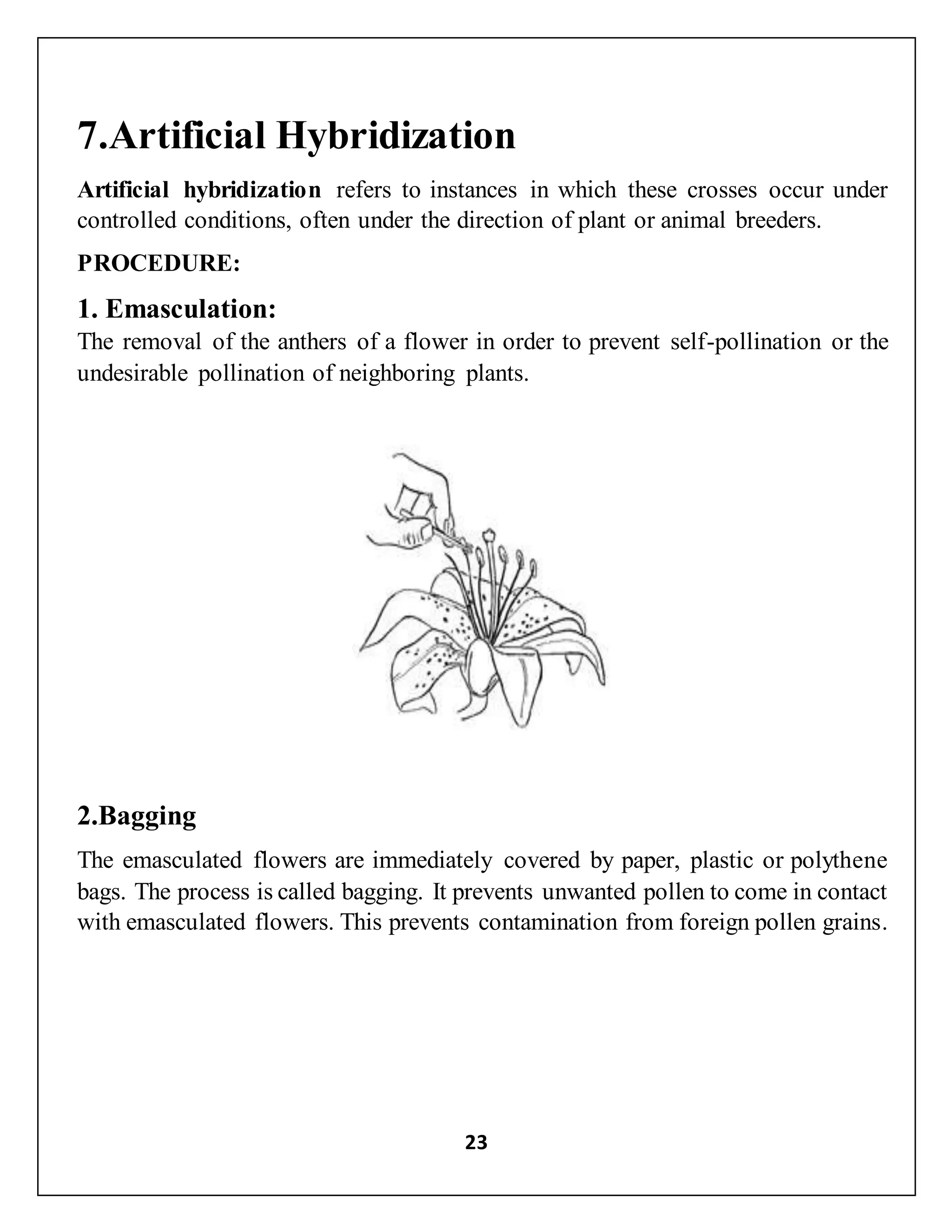 POLLINATION :Biology Investigatory project | DOCX