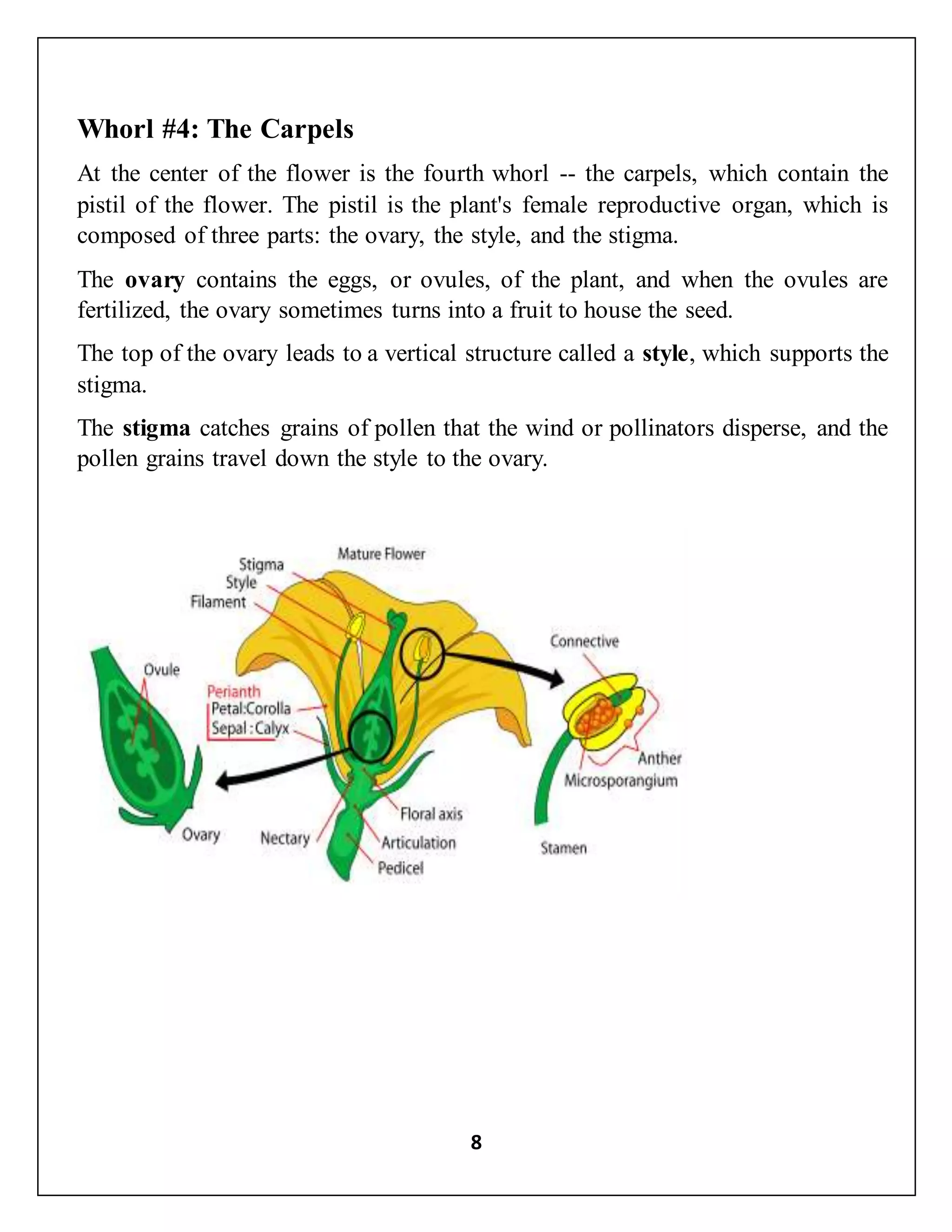 POLLINATION :Biology Investigatory project | DOCX
