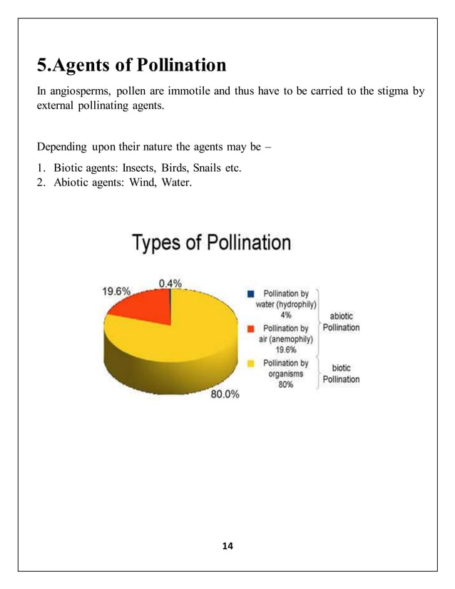 POLLINATION :Biology Investigatory project | DOCX
