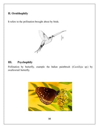 POLLINATION :Biology Investigatory project | DOCX