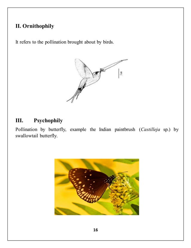 POLLINATION :Biology Investigatory project | DOCX