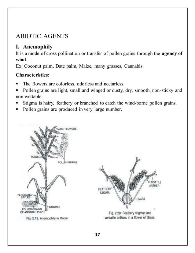 POLLINATION :Biology Investigatory project | DOCX