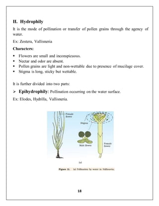 POLLINATION :Biology Investigatory project | DOCX