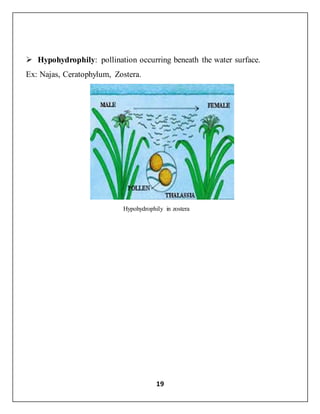 POLLINATION :Biology Investigatory project | DOCX