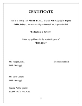 POLLINATION :Biology Investigatory project | DOCX