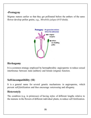 POLLINATION :Biology Investigatory project | DOCX
