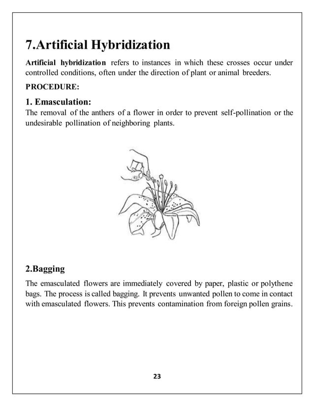 POLLINATION :Biology Investigatory project | DOCX