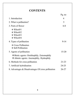 POLLINATION :Biology Investigatory project | DOCX