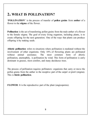 POLLINATION :Biology Investigatory project | DOCX