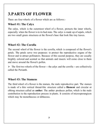 POLLINATION :Biology Investigatory project | DOCX