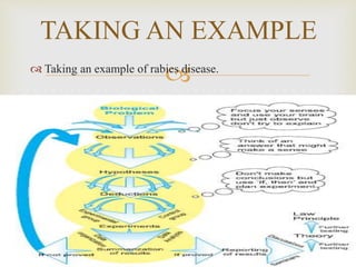 solving a biological problem | PPTX