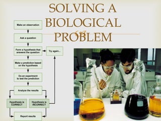 solving a biological problem | PPT