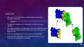 Crystallin | PPTX | Eye and Vision Conditions | Diseases and Conditions