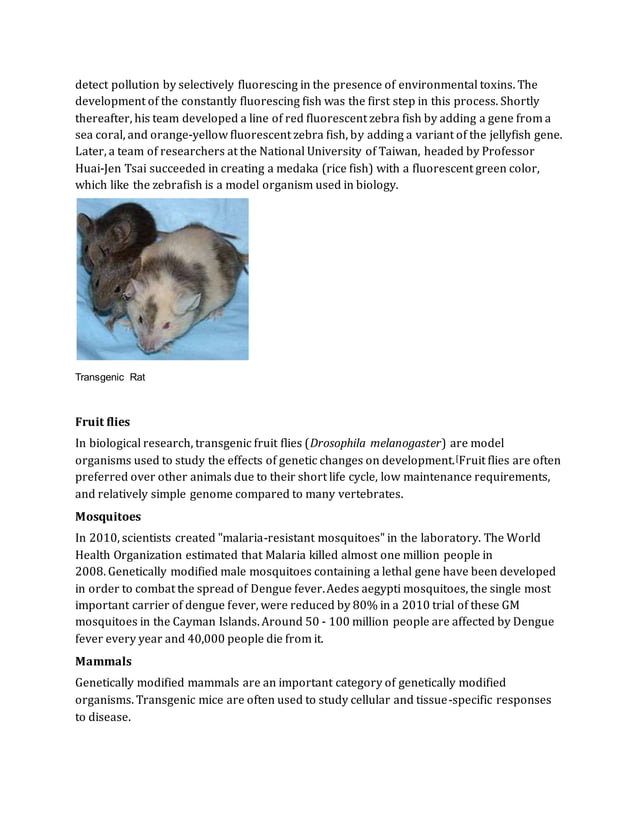Bio project CLASS12 genetic engenering | DOCX