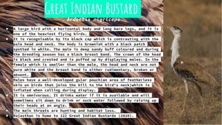 Fauna of Rajasthan | PPTX