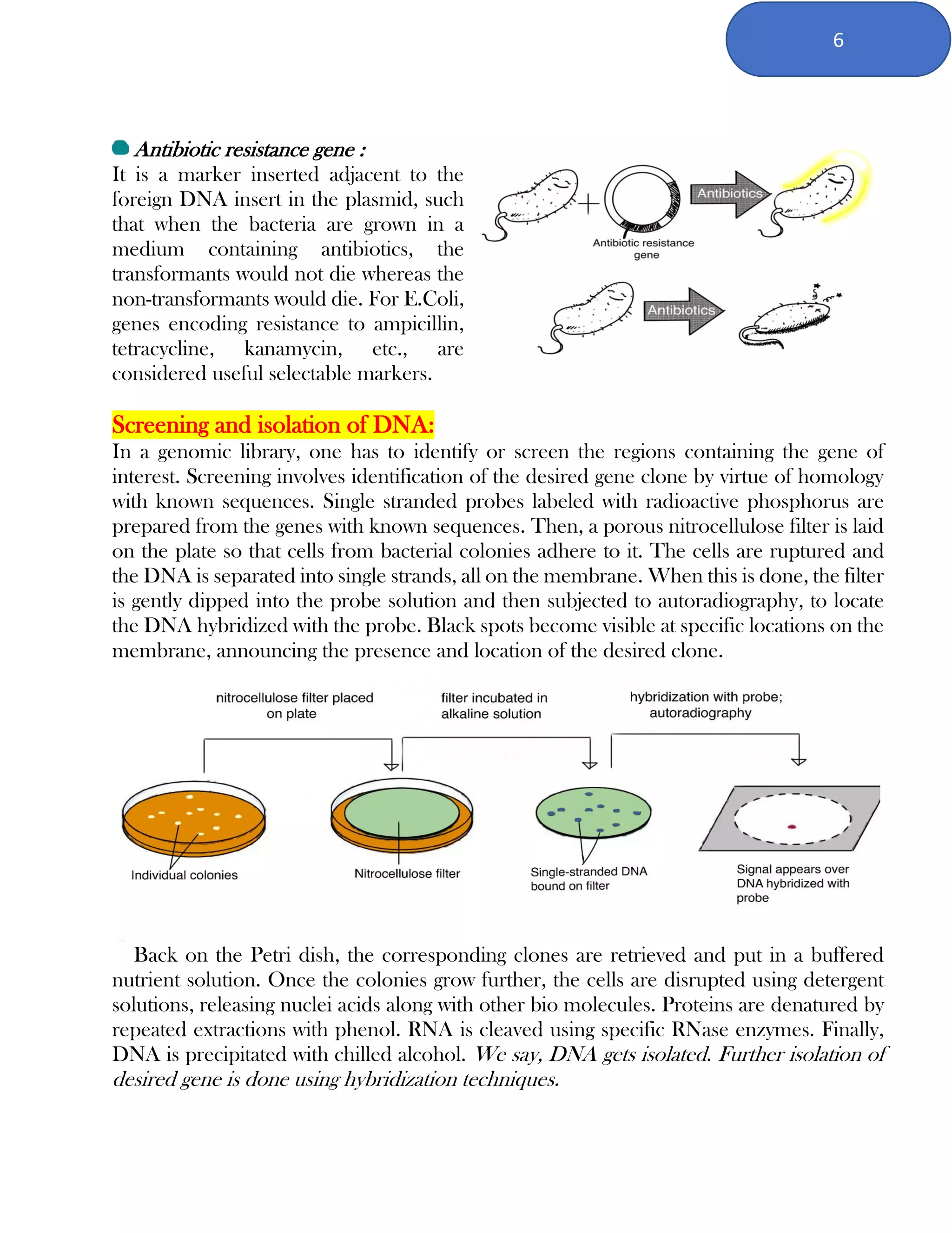 Biology investigatory project class 12 | PDF