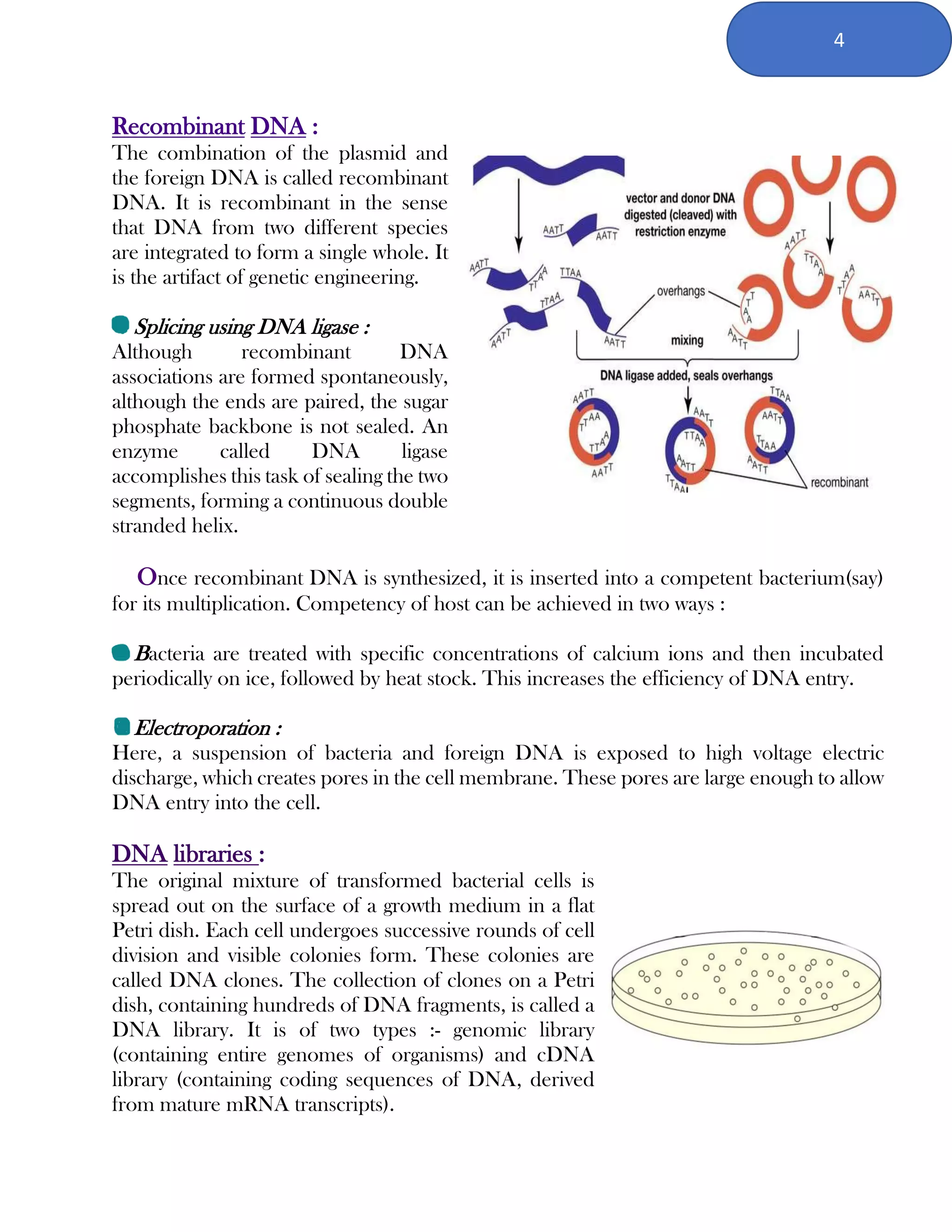 Biology investigatory project class 12 | PDF