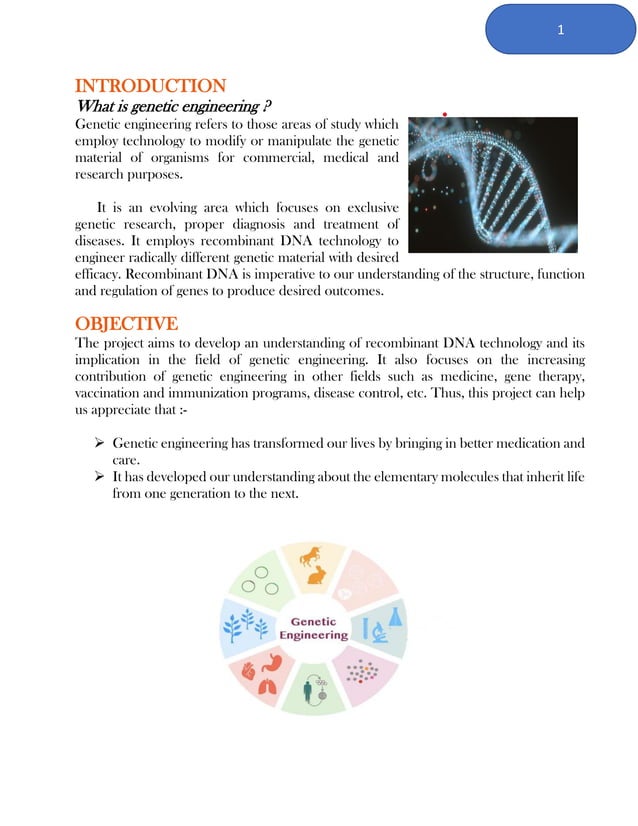 Biology investigatory project class 12 | PDF