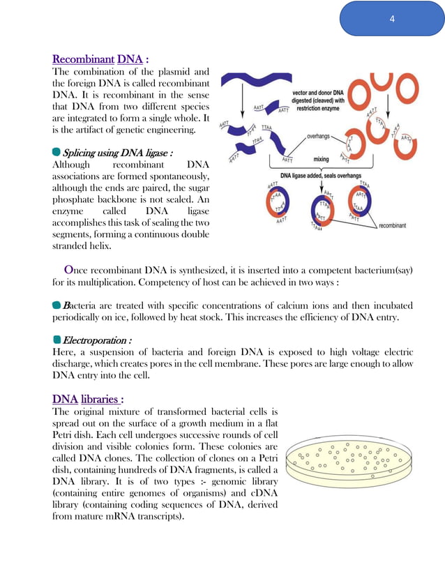 Biology investigatory project class 12 | PDF