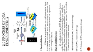 Bio project.pptx dna fingerprinting for students | PPTX