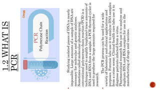 Bio project.pptx dna fingerprinting for students | PPTX