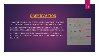 Bio project.pptx on blood grouping prepared for for class 12th for the ...