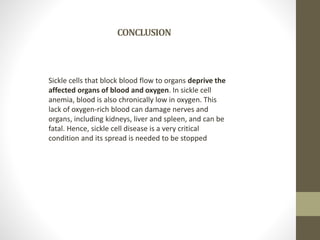 BIO PROJECT (1).pptxjjahkjhJKLCKJclndkslnfkmn | PPTX