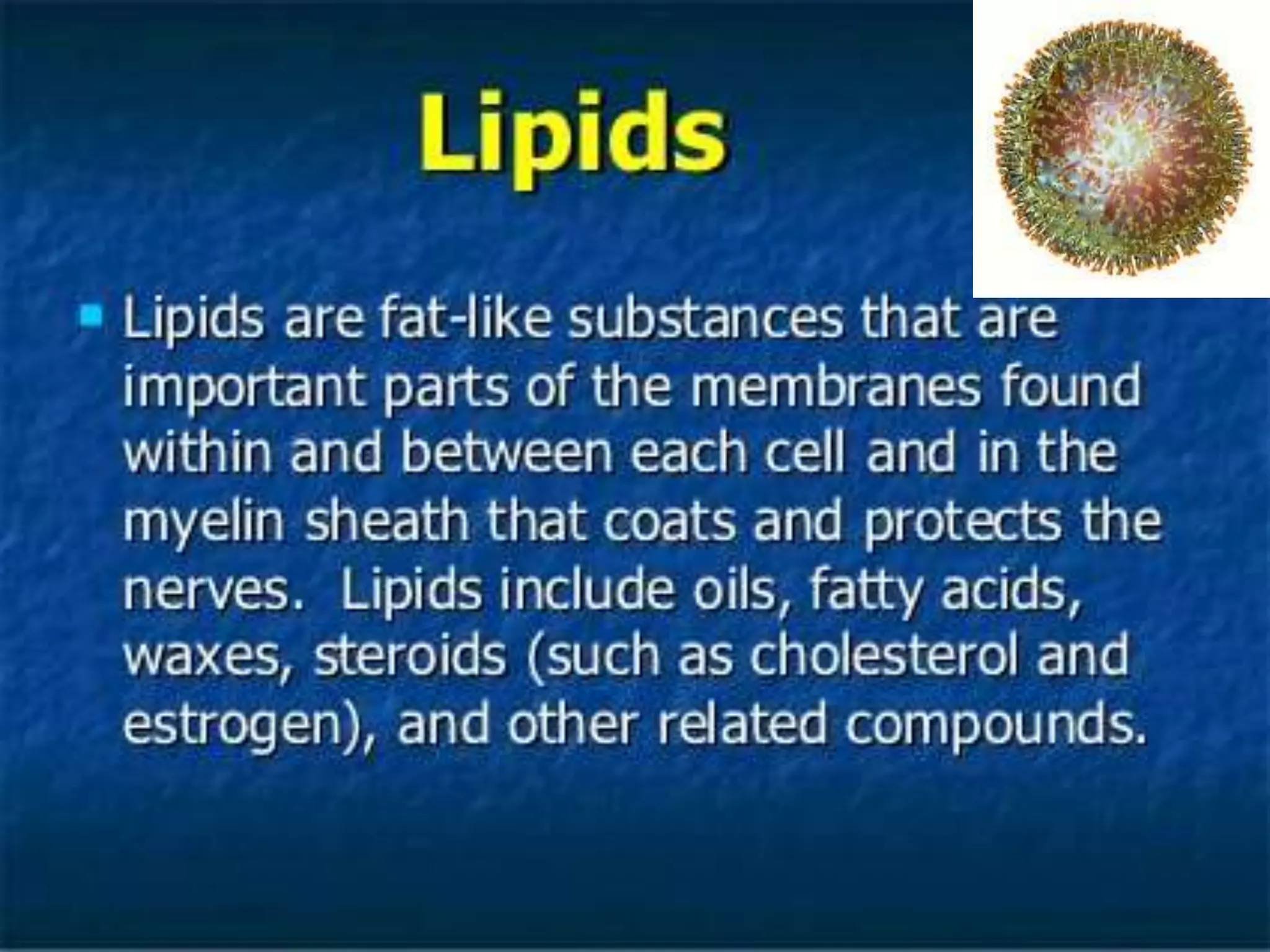 Lipids | PPTX