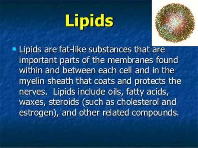 Lipids | PPTX