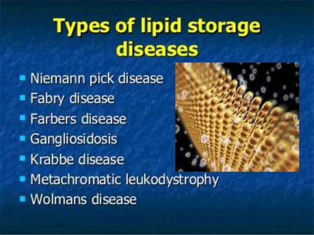 Lipids | PPTX