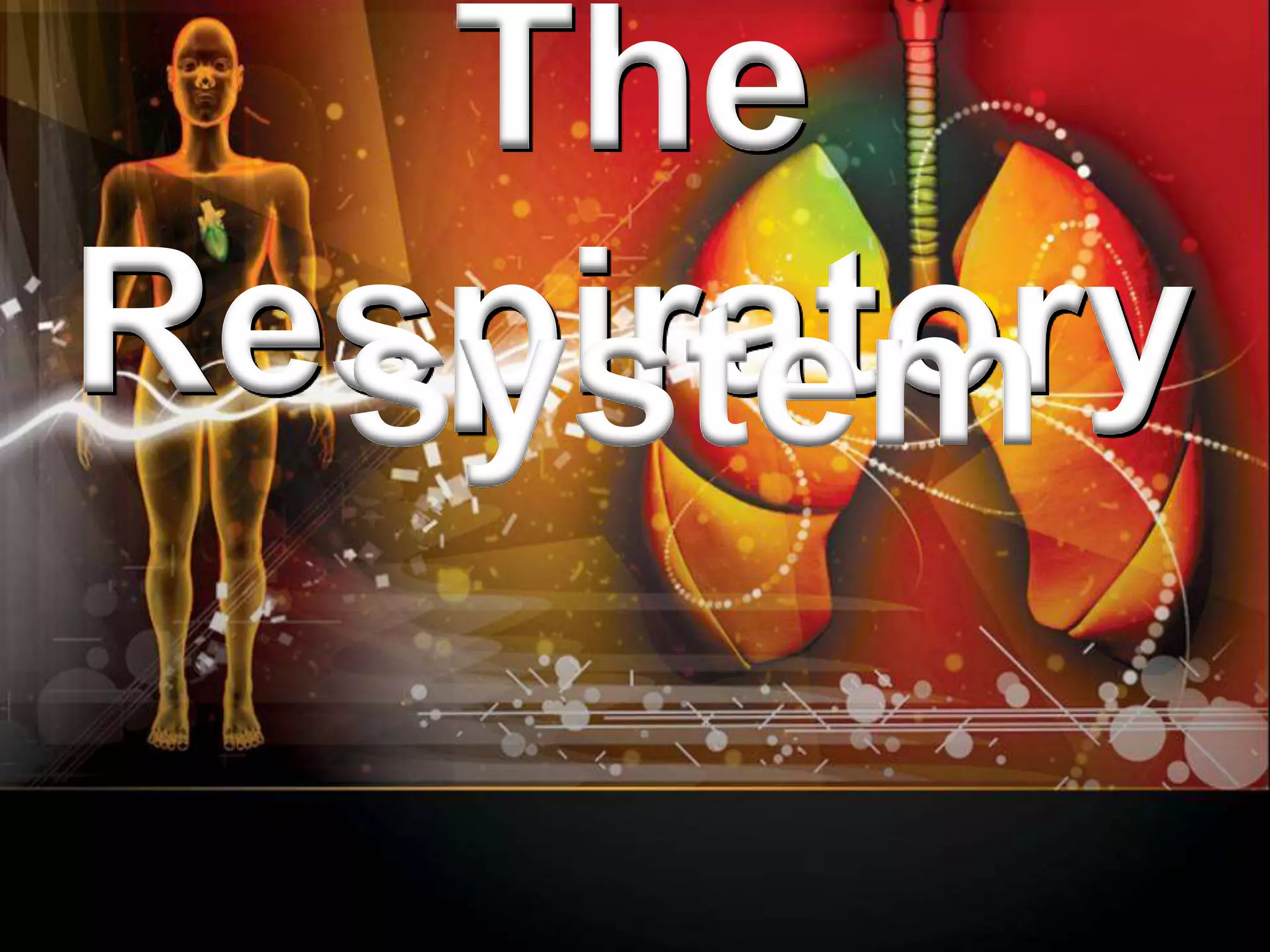 Biology Repsiration tenth class ppt | PPTX