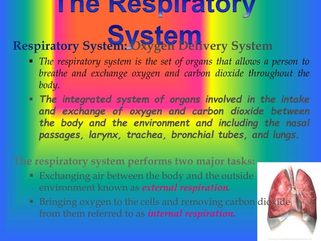 Biology Repsiration tenth class ppt | PPTX | Ear, Nose and Throat ...